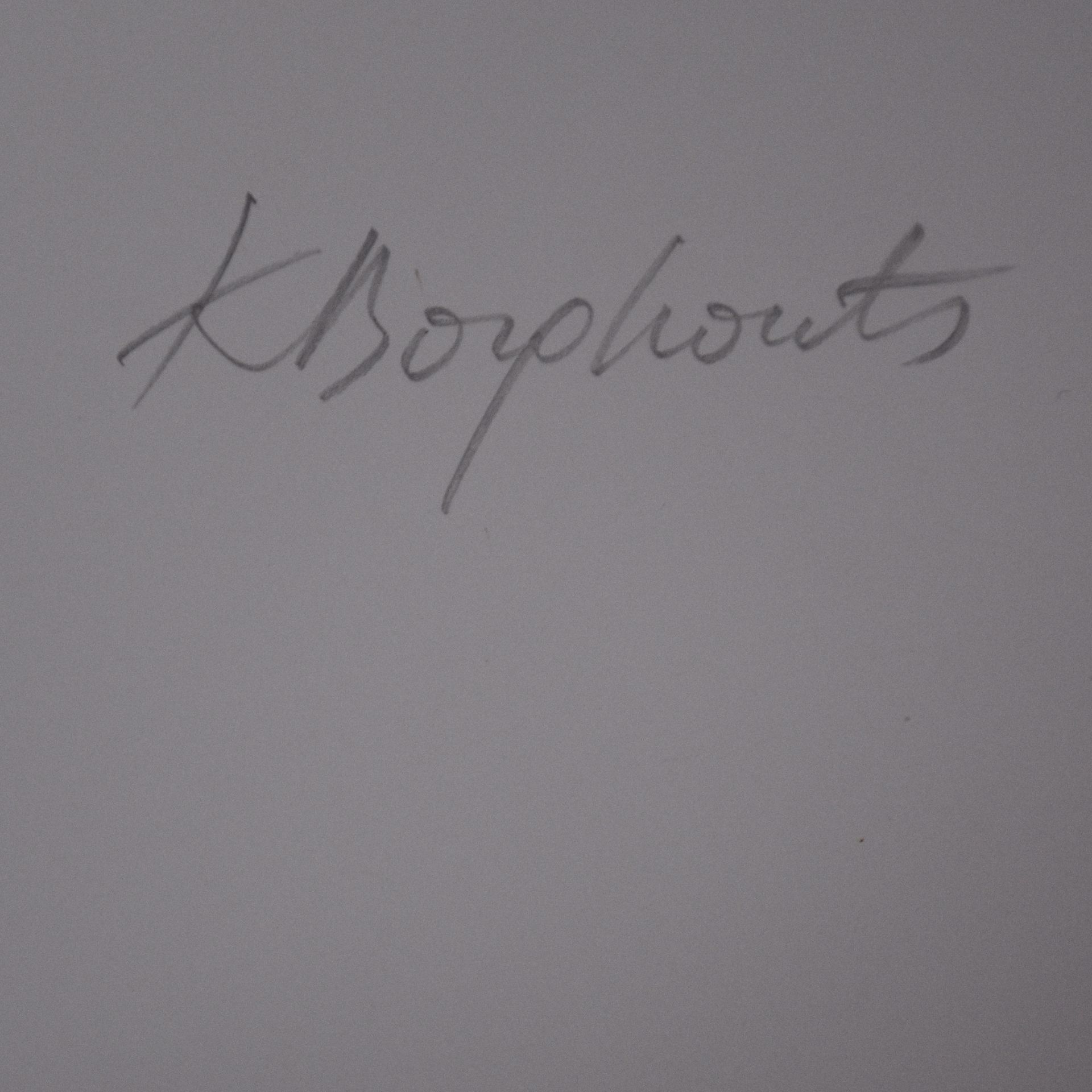 BORGHOUTS KARIN - AMBERES