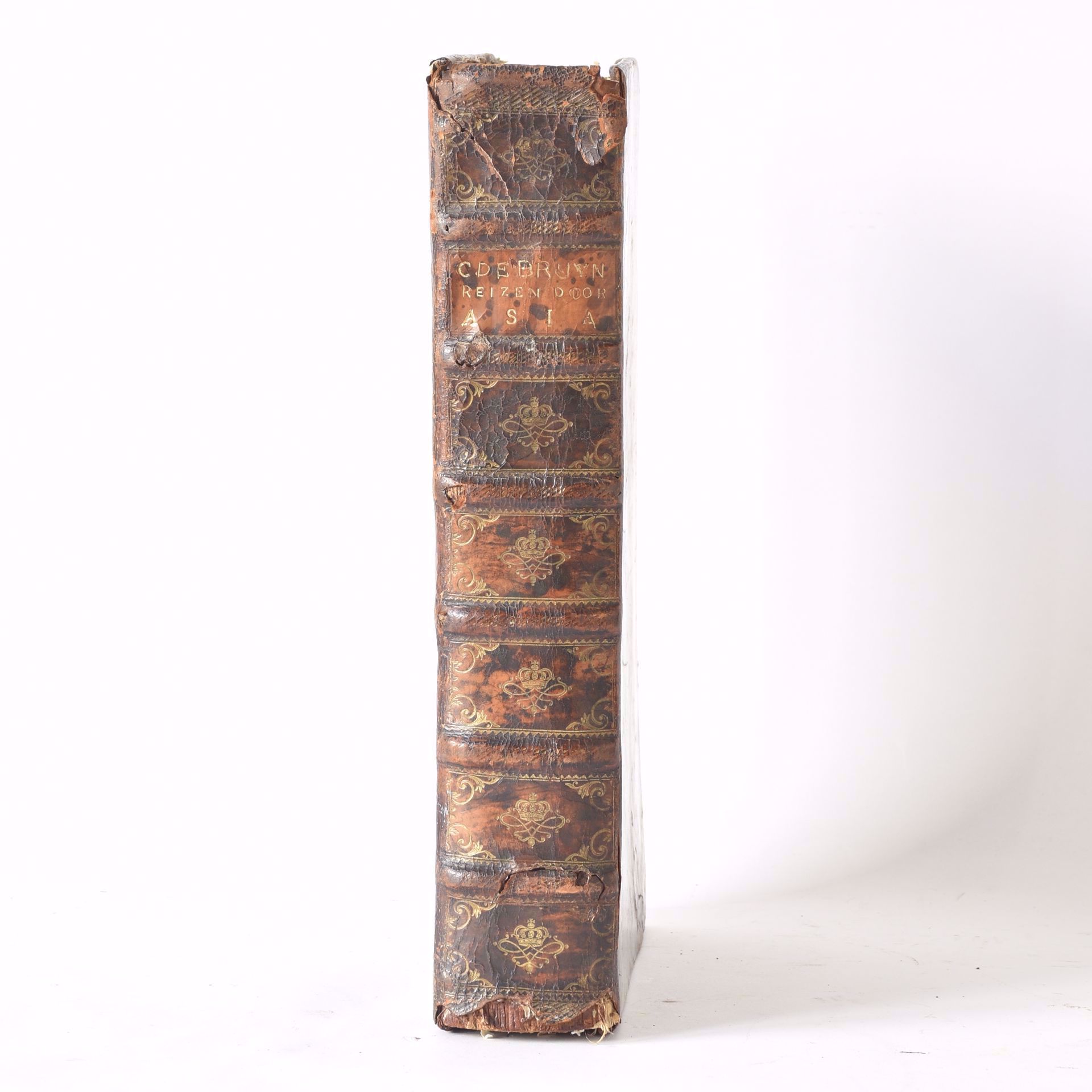 DE BRUYN CORNELIS - AMBERES